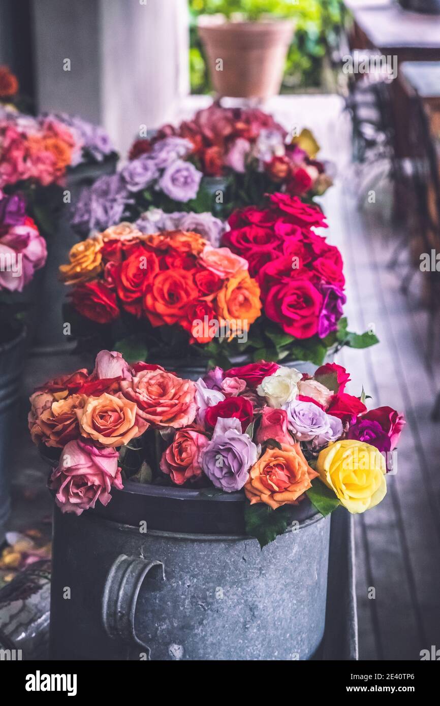 Purple buckets hi-res stock photography and images - Alamy