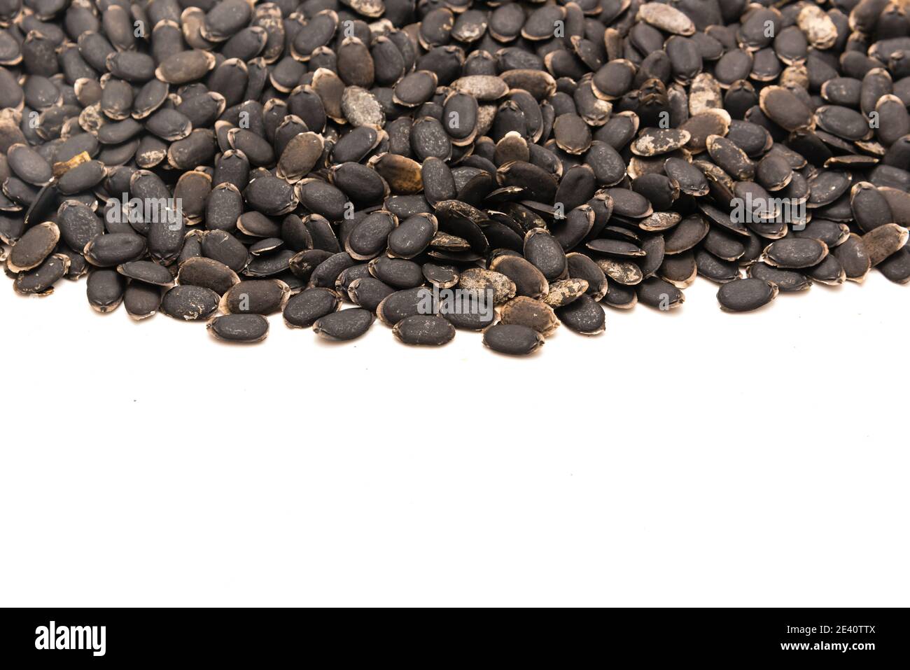 Luffa seeds spreading on isolated white background with copy space ...