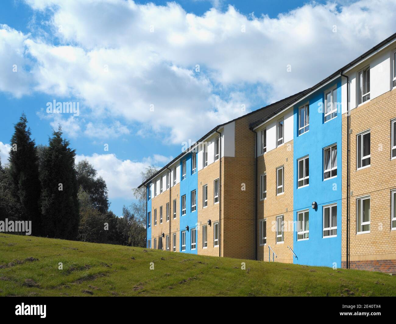 Pfp hi-res stock photography and images - Alamy