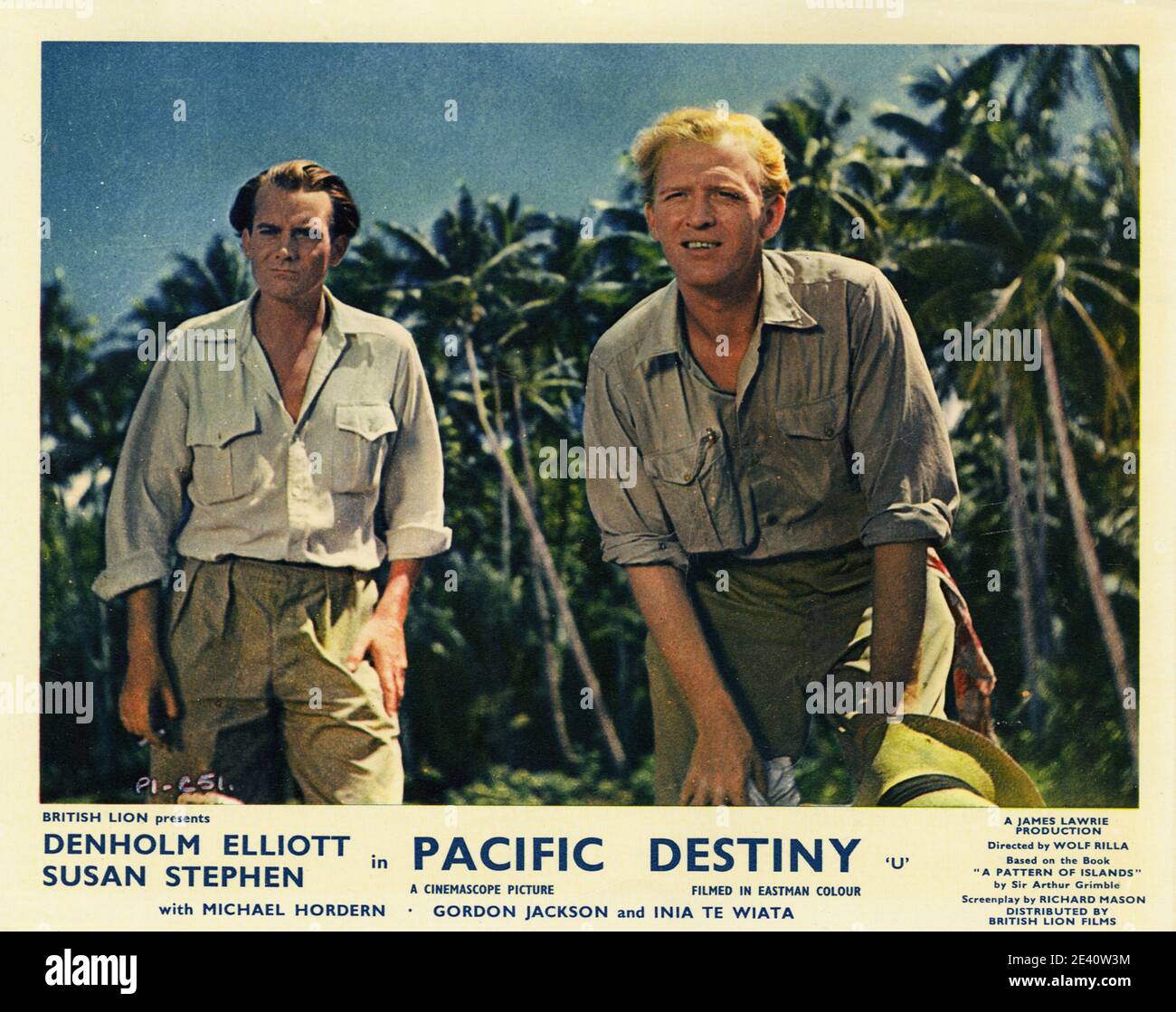 Jackson wolf hi-res stock photography and images - Alamy