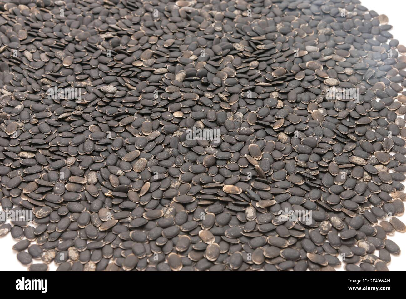 Full background view luffa seeds isolated on white background. Organic ...
