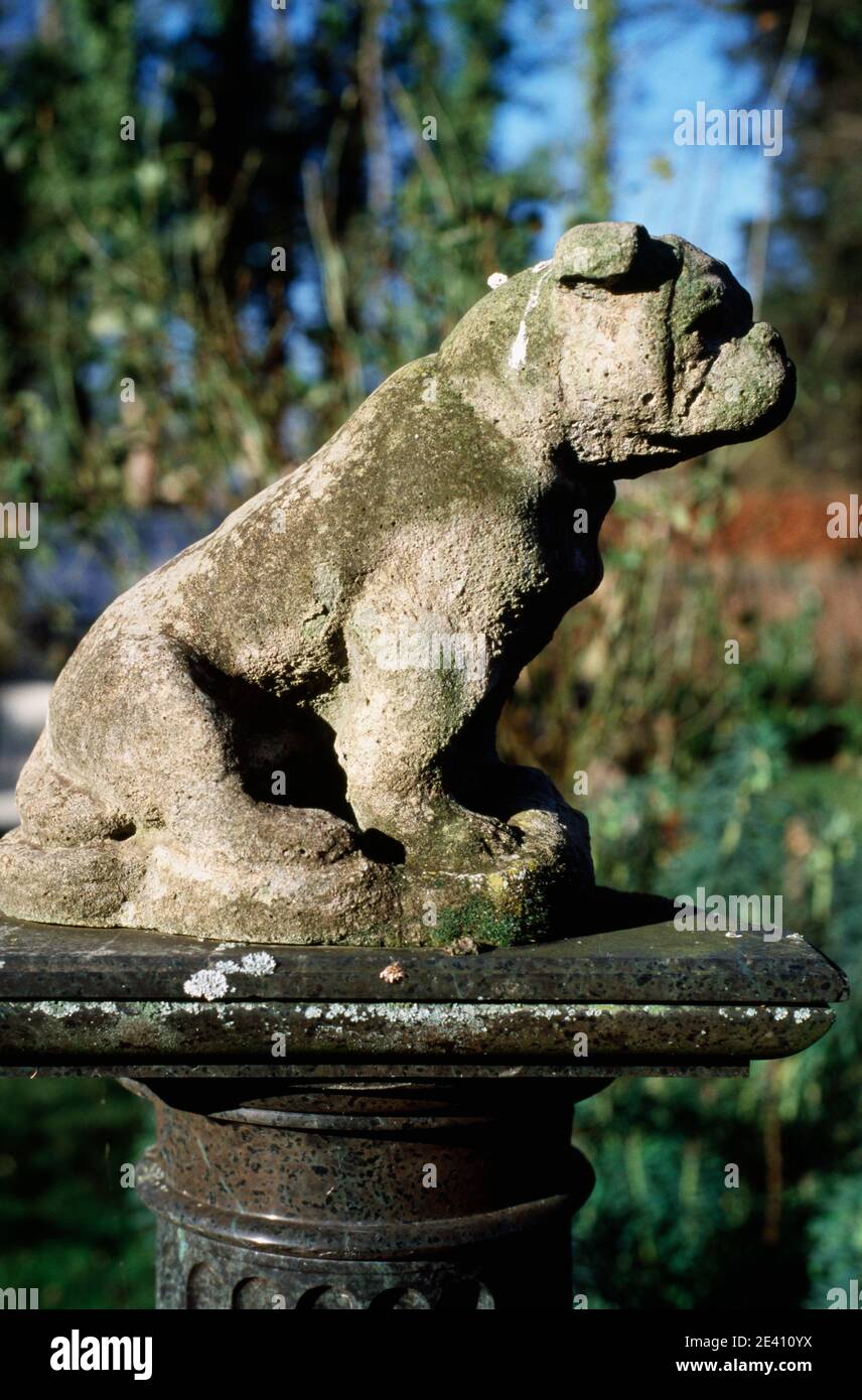 Garden sculpture - Stone bulldog Stock Photo - Alamy