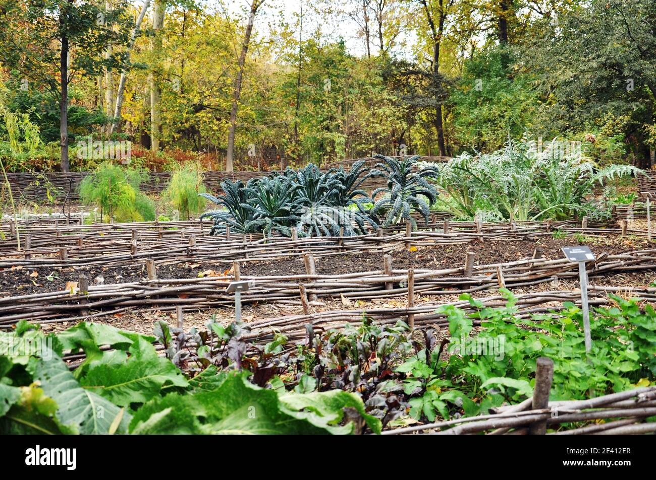 Landscape of an vegetable garden Stock Photo - Alamy