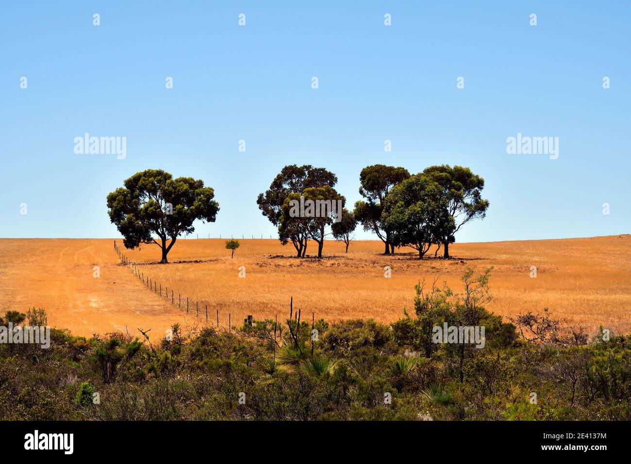 Australia, rural scene in Western Australia Stock Photo - Alamy