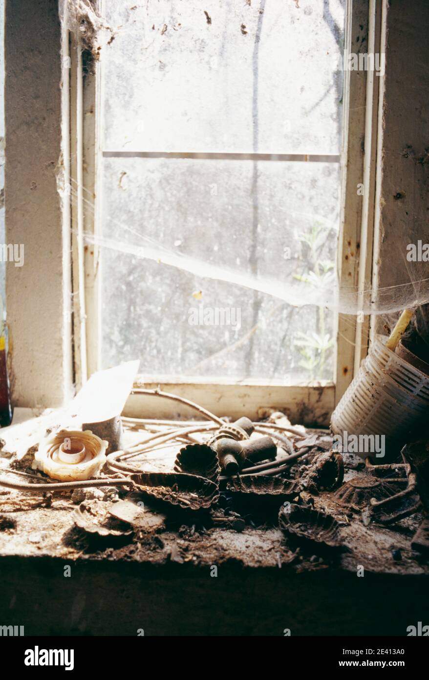 Derelict cottage interior, window with cobweb, inside out, everchreech ...