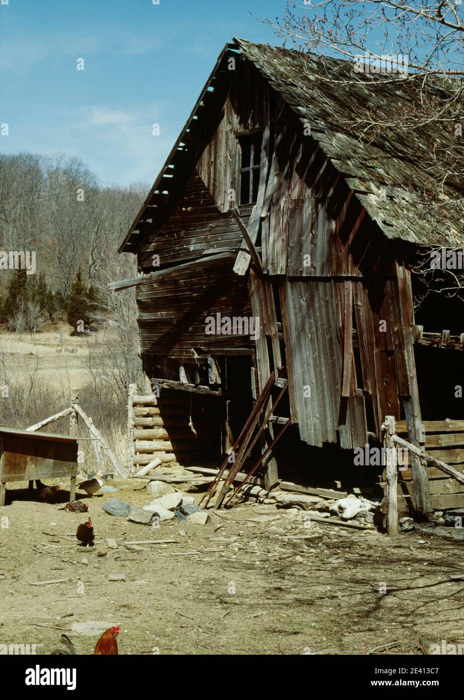 Derelict horse barn (probably a barn), lyme connecticut usa Stock Photo ...
