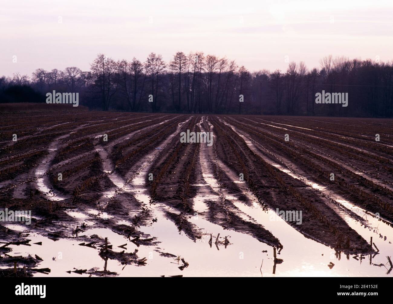 Regen farming hi-res stock photography and images - Alamy