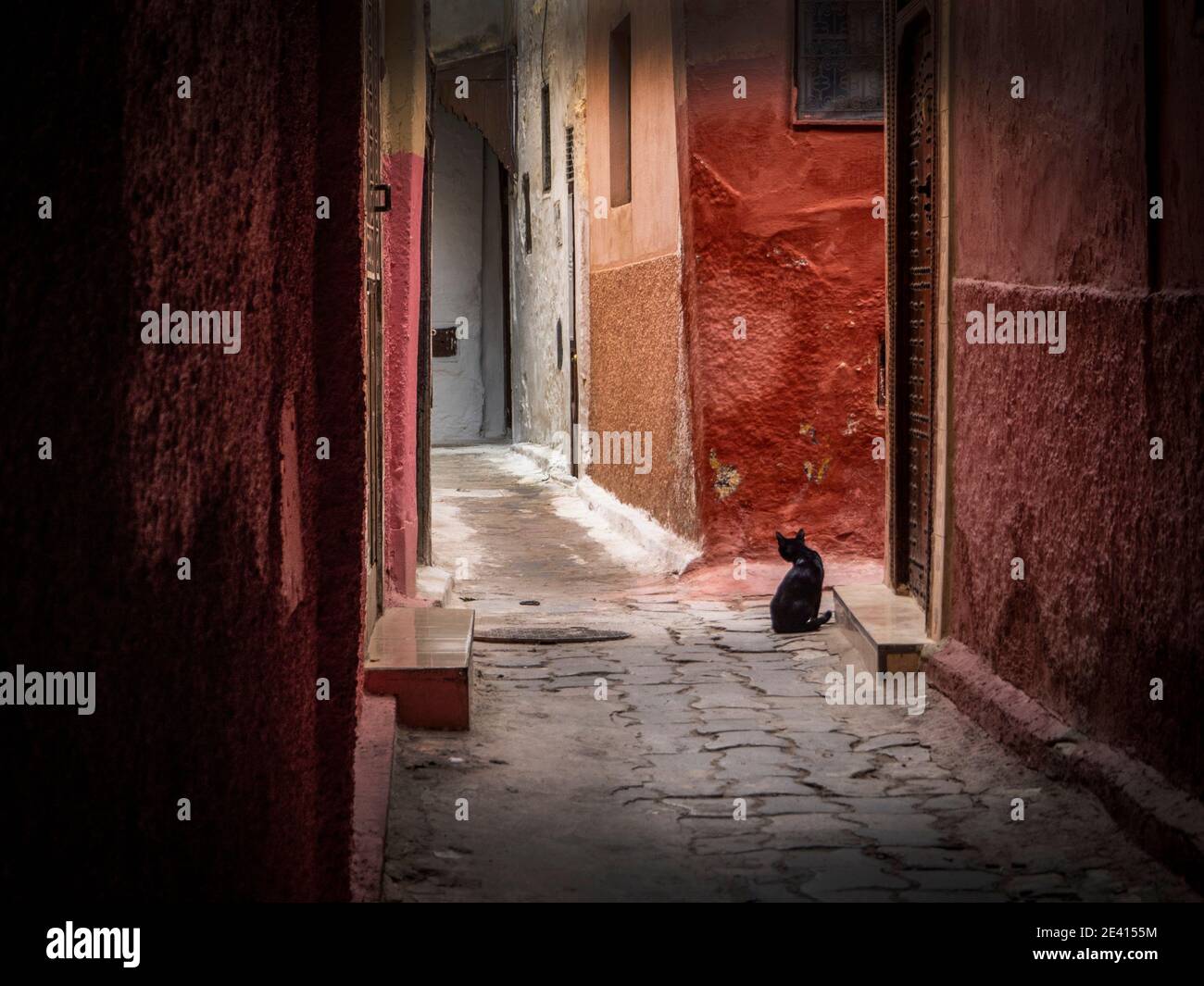 A cat in one of the typical streets of an Arab medina in Morocco Stock ...