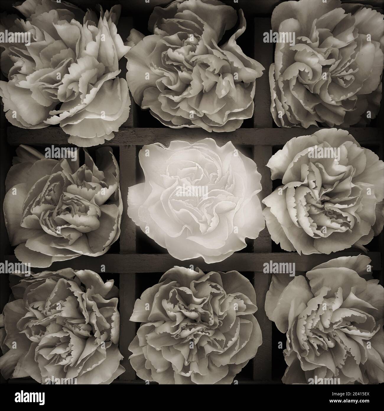 Flower box stand hi-res stock photography and images - Alamy