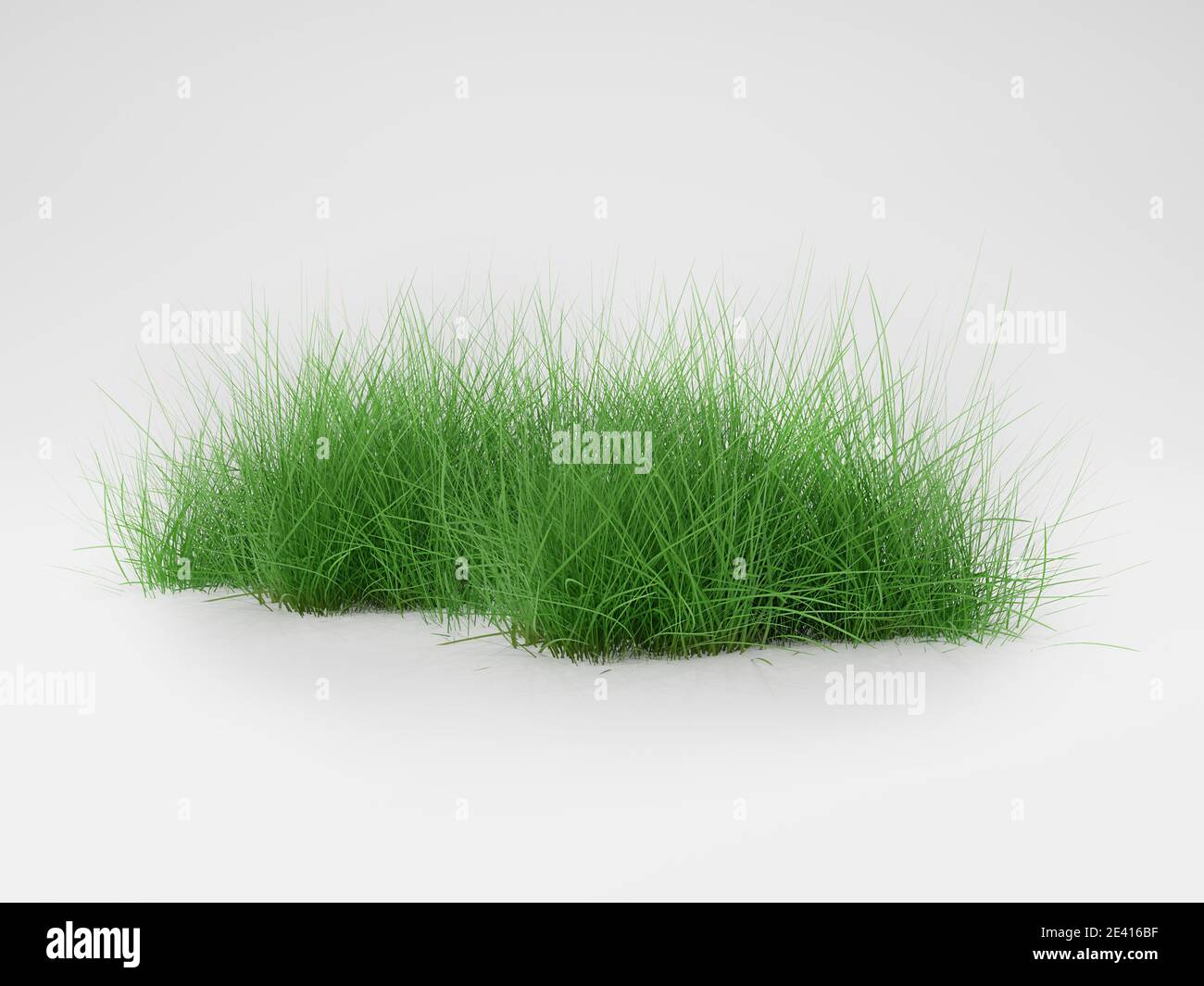 Grass isolated on white background. 3d rendering illustration Stock ...