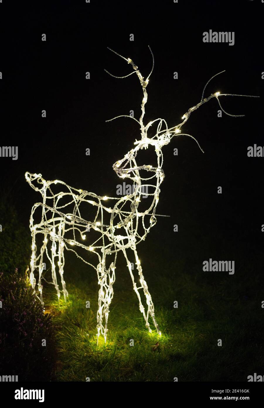 Deer lights hi-res stock photography and images - Alamy