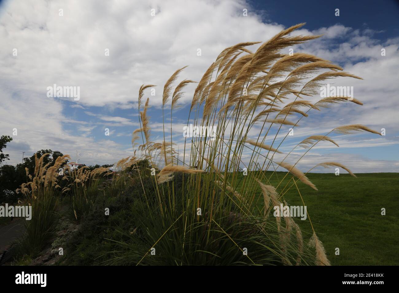 Girvan town centre hi-res stock photography and images - Alamy