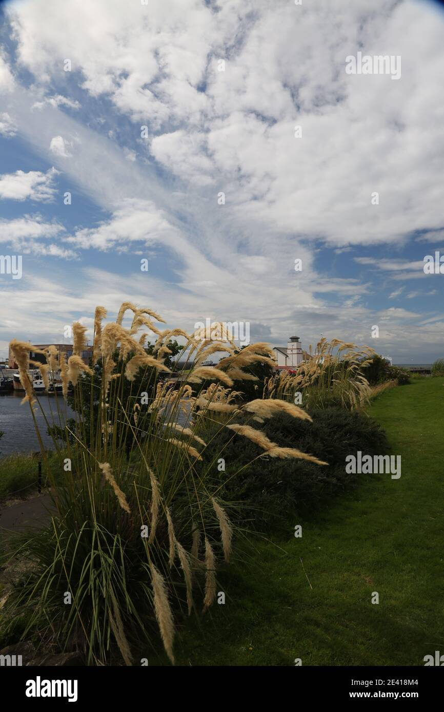 Girvan harbour and town hi-res stock photography and images - Alamy