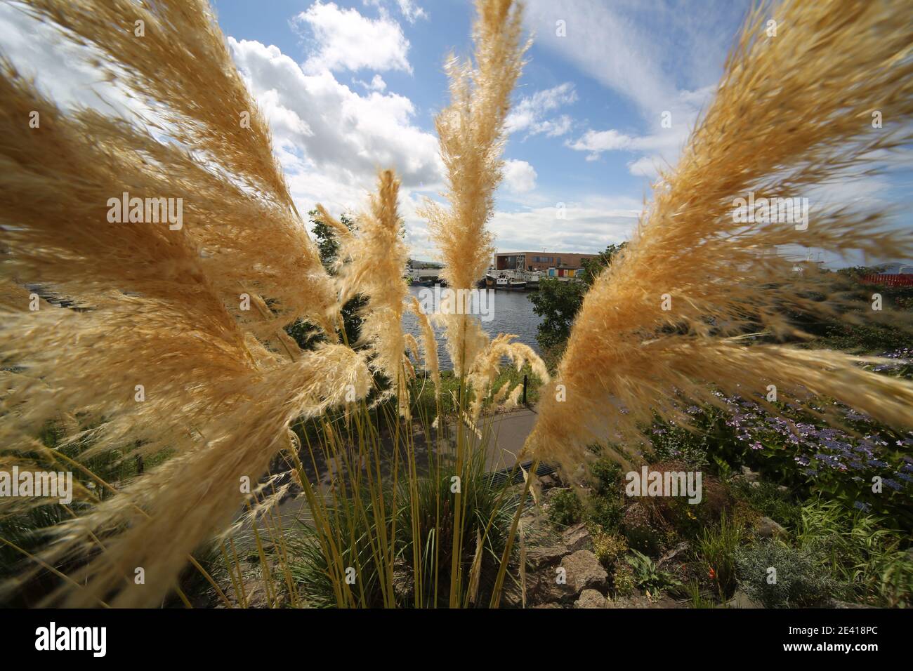 Girvan, Ayrshire, Scotland, UK. Views toward the leisure centre known ...