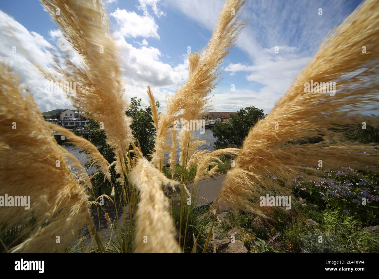 Girvan harbour and town hi-res stock photography and images - Alamy