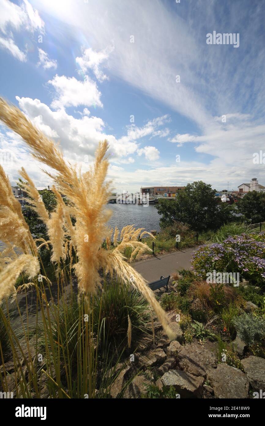 Girvan, Ayrshire, Scotland, UK. Views toward the leisure centre known ...