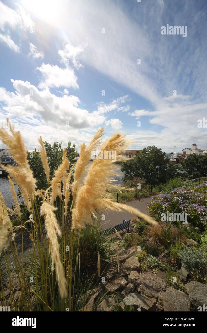 Girvan harbour and town hi-res stock photography and images - Alamy