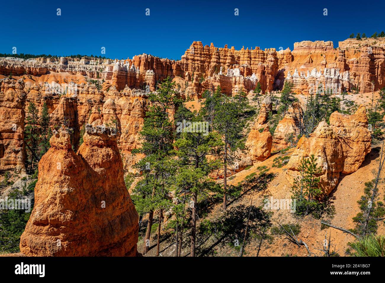 Hoodoo and eroded cliff formations at Bryce Canyon National Park in ...