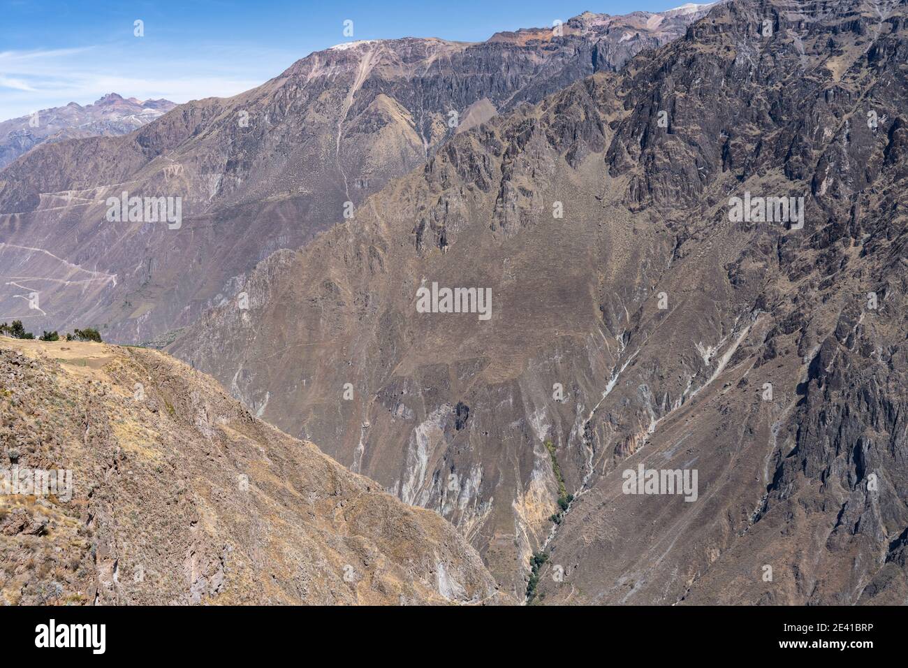 Colca canyon in Southern Peru is home to the Andean condor (Vultur ...