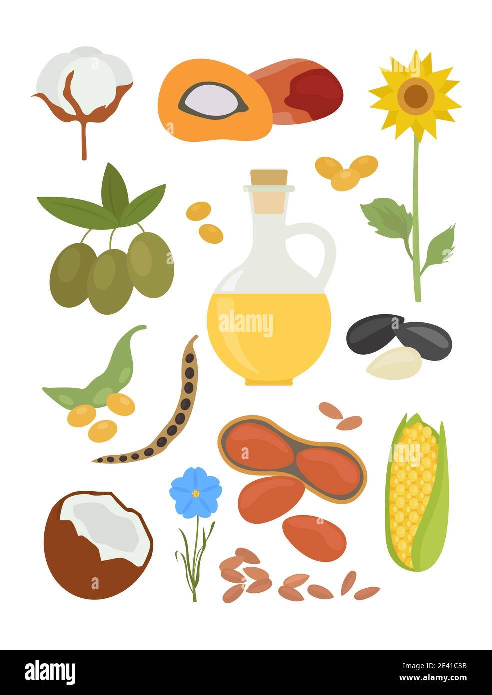 Top 10 plants for vegetable oil production infographic design. Vector ...
