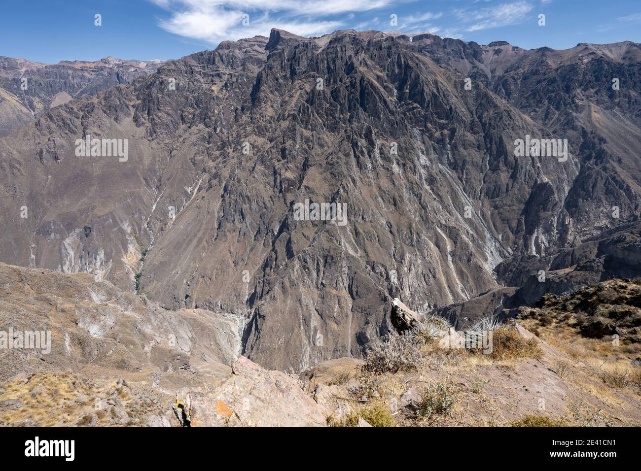 Colca canyon in Southern Peru is home to the Andean condor (Vultur ...