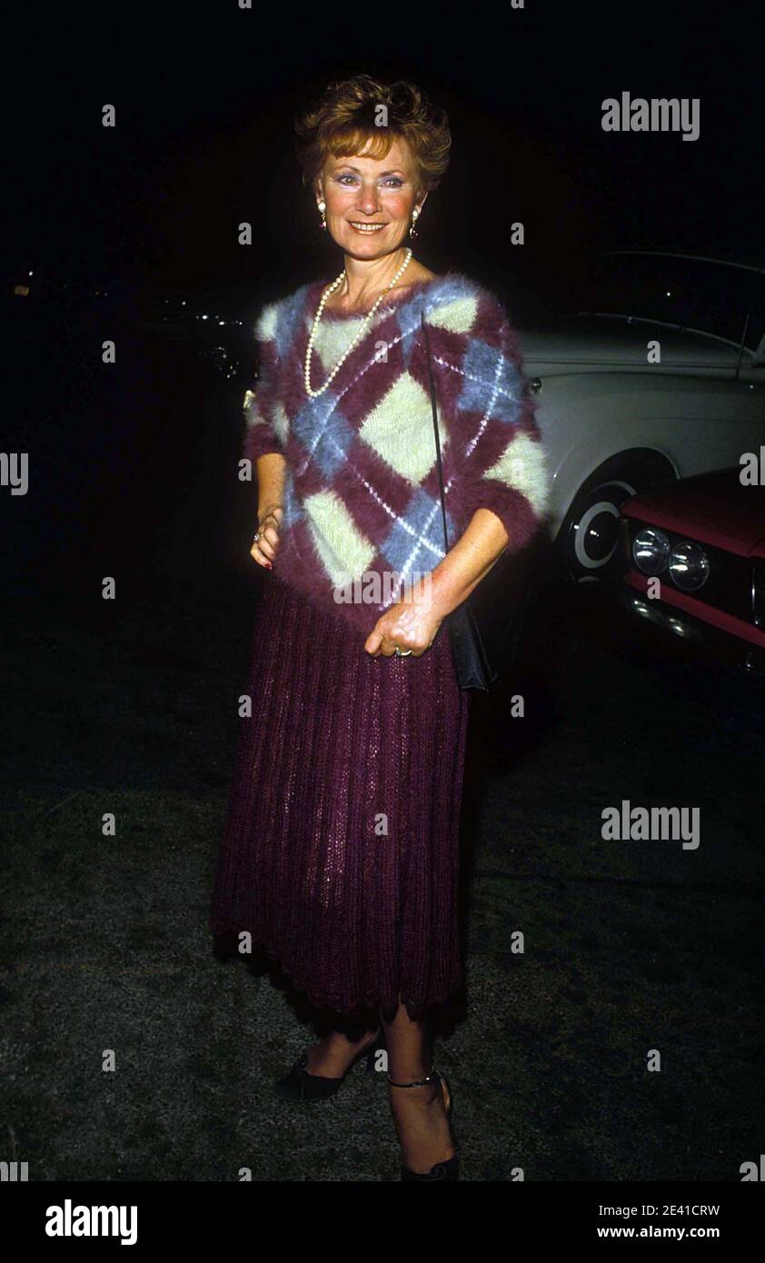 Marion Ross 1985 Credit: Ralph Dominguez/MediaPunch Stock Photo - Alamy