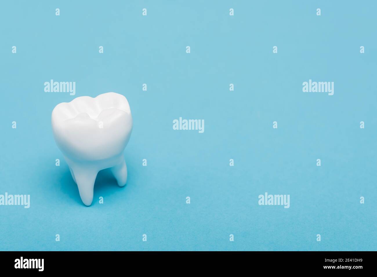 Model of the tooth hi-res stock photography and images - Alamy