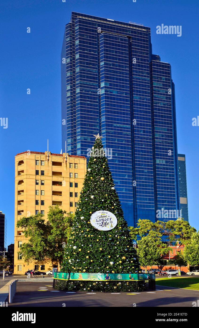 Tree skyscraper hi-res stock photography and images - Alamy