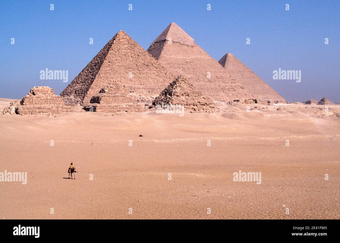 Camelides hi-res stock photography and images - Alamy