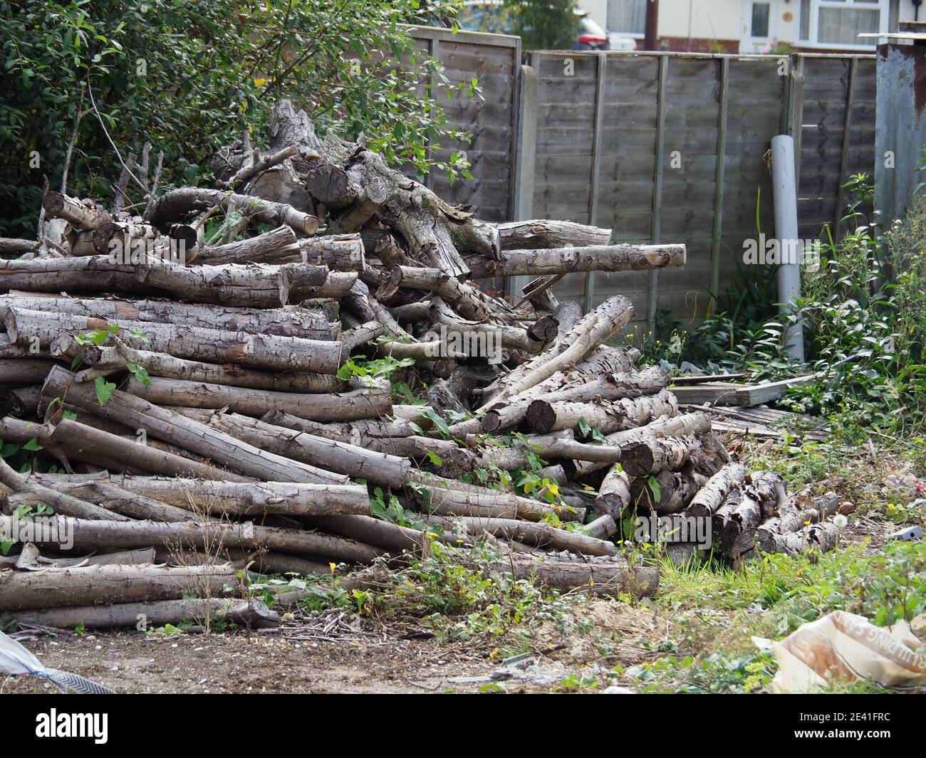 Log yard hi-res stock photography and images - Alamy