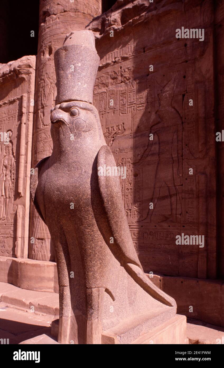 Horus falcons hi-res stock photography and images - Alamy