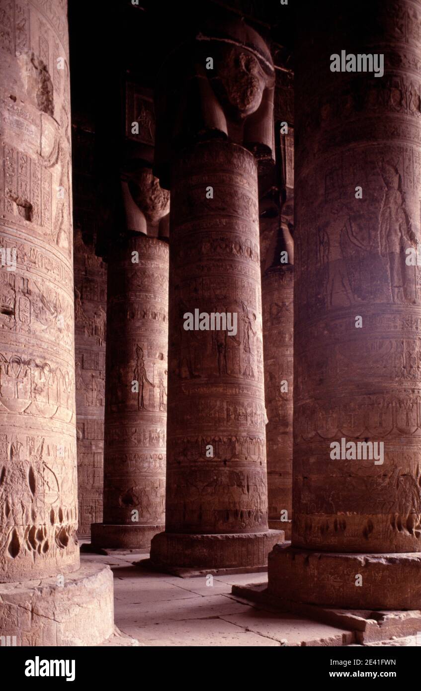 Hypostyl hi-res stock photography and images - Alamy