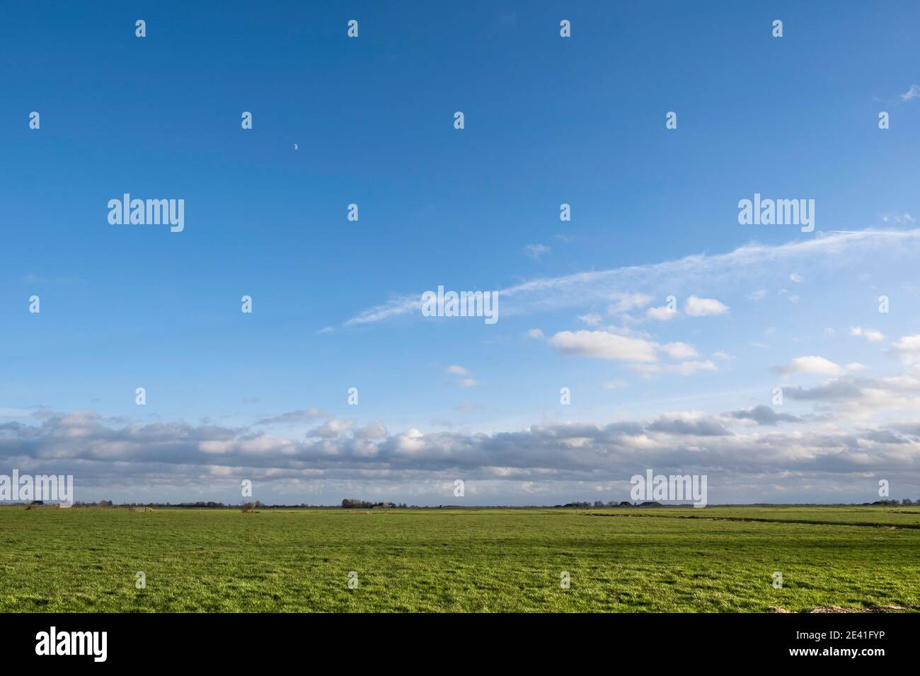 Typical plain Dutch landscape with fresh green meadows, farms and a ...