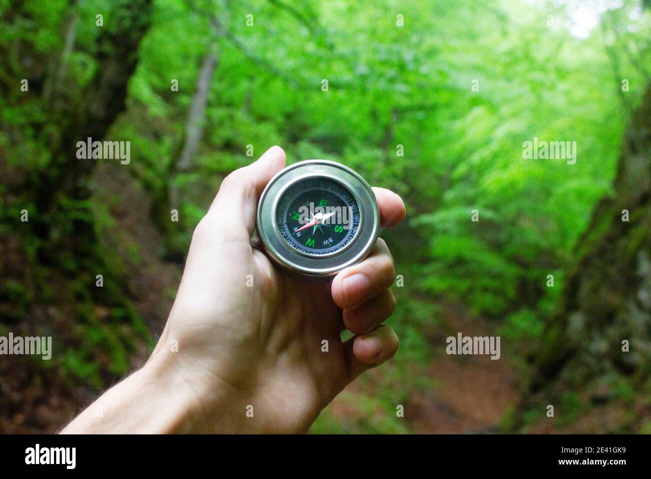 man hand compass in forest Stock Photo - Alamy