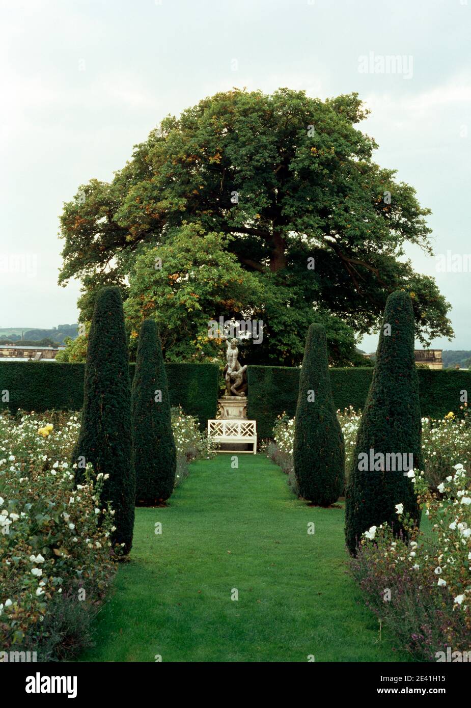 George rosen hi-res stock photography and images - Alamy