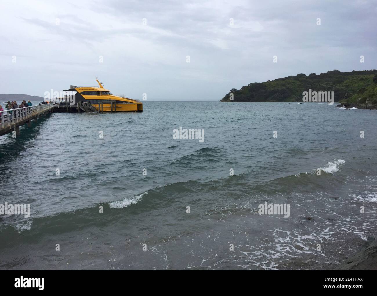 Tiritiri Matangi Island ferry in Hauraki Gulf, dropping off tourists at ...