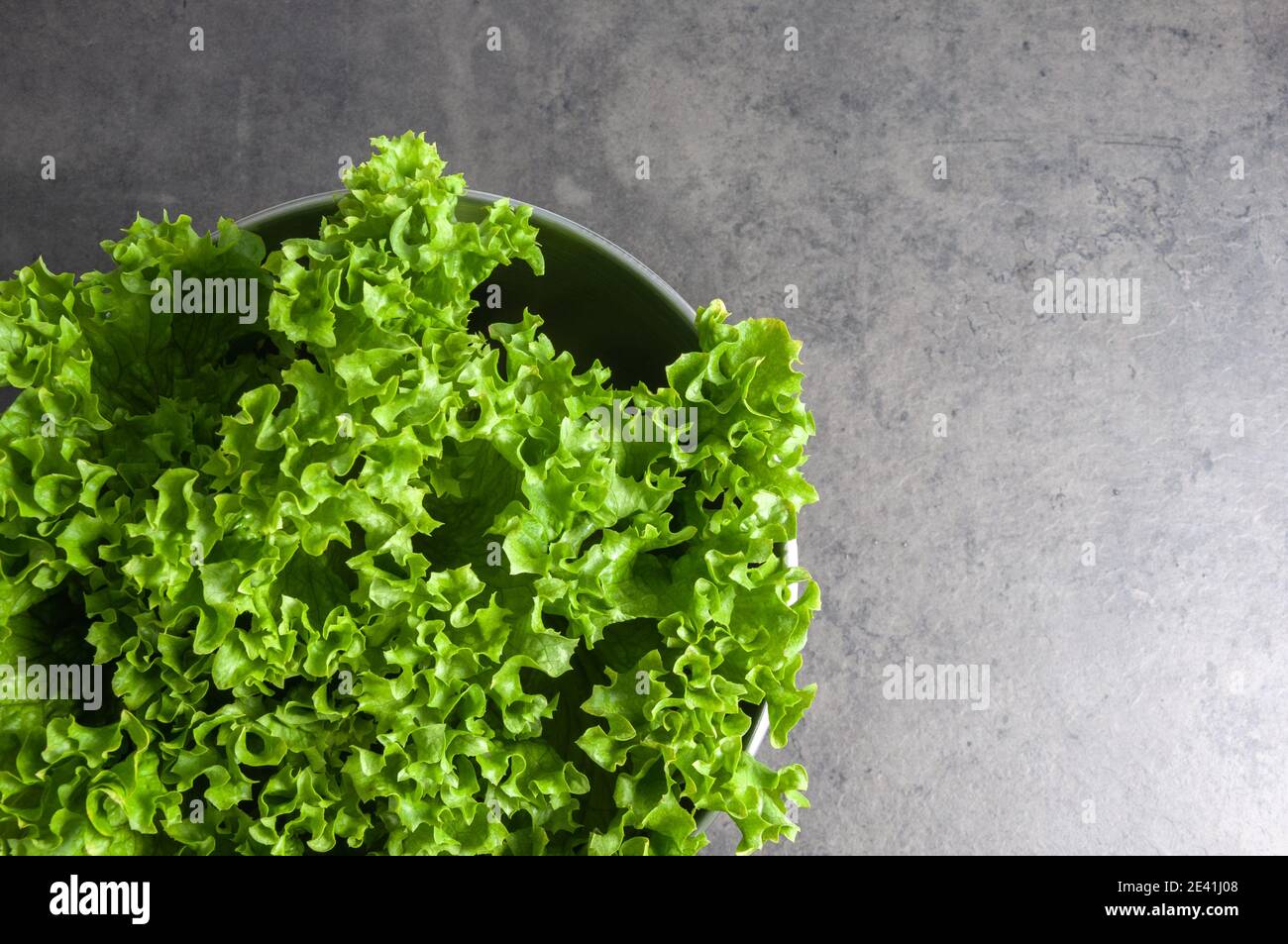 Juicy lettuce hi-res stock photography and images - Alamy