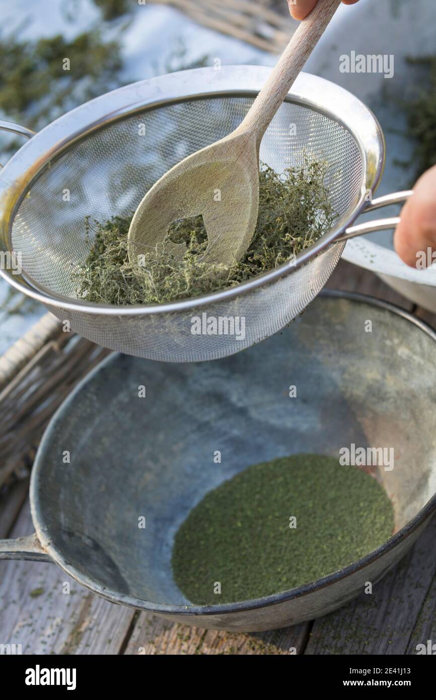 Kitchen sieve hi-res stock photography and images - Alamy