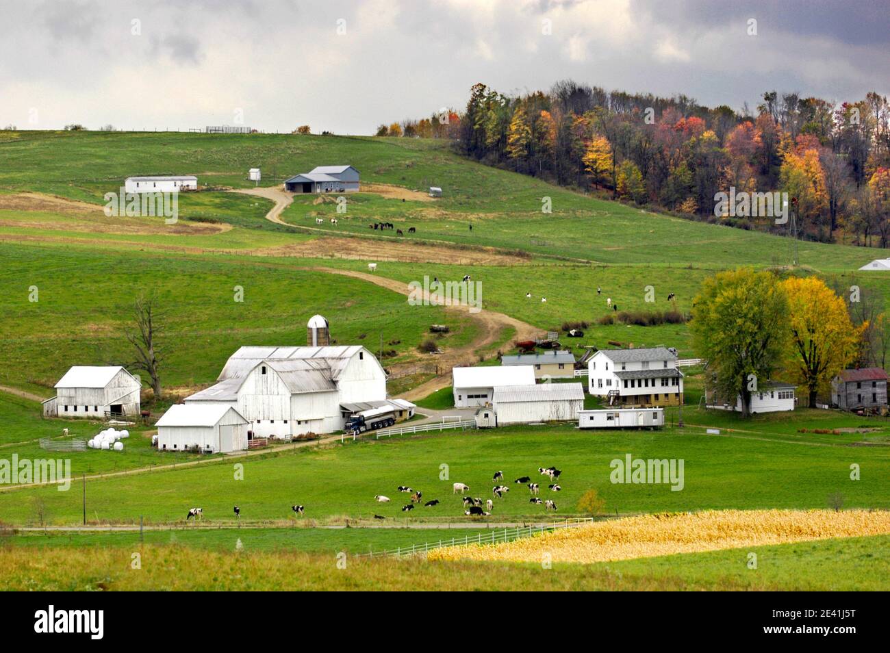 Amish farm ohio hi-res stock photography and images - Alamy