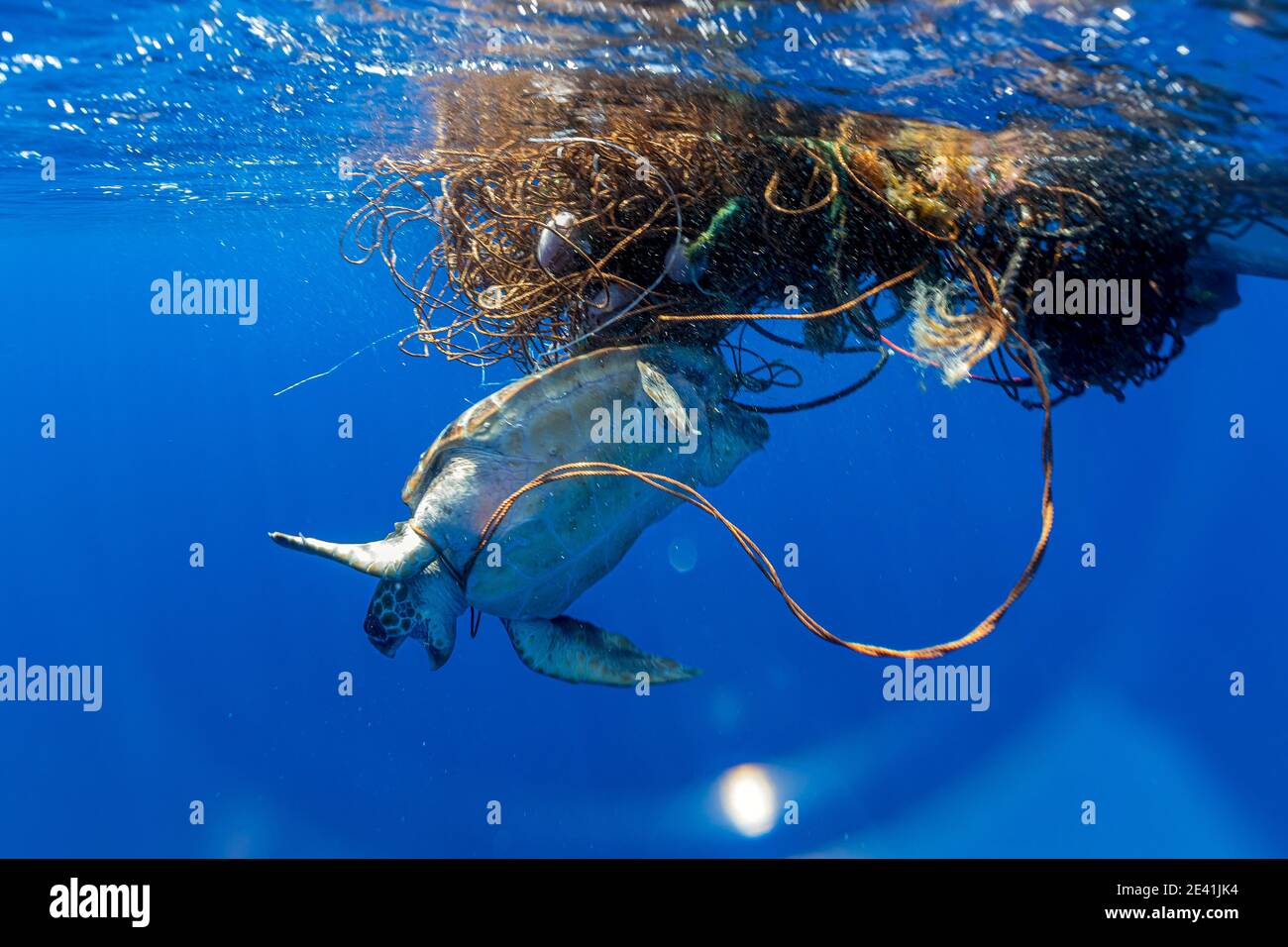 Ghost floating hi-res stock photography and images - Alamy