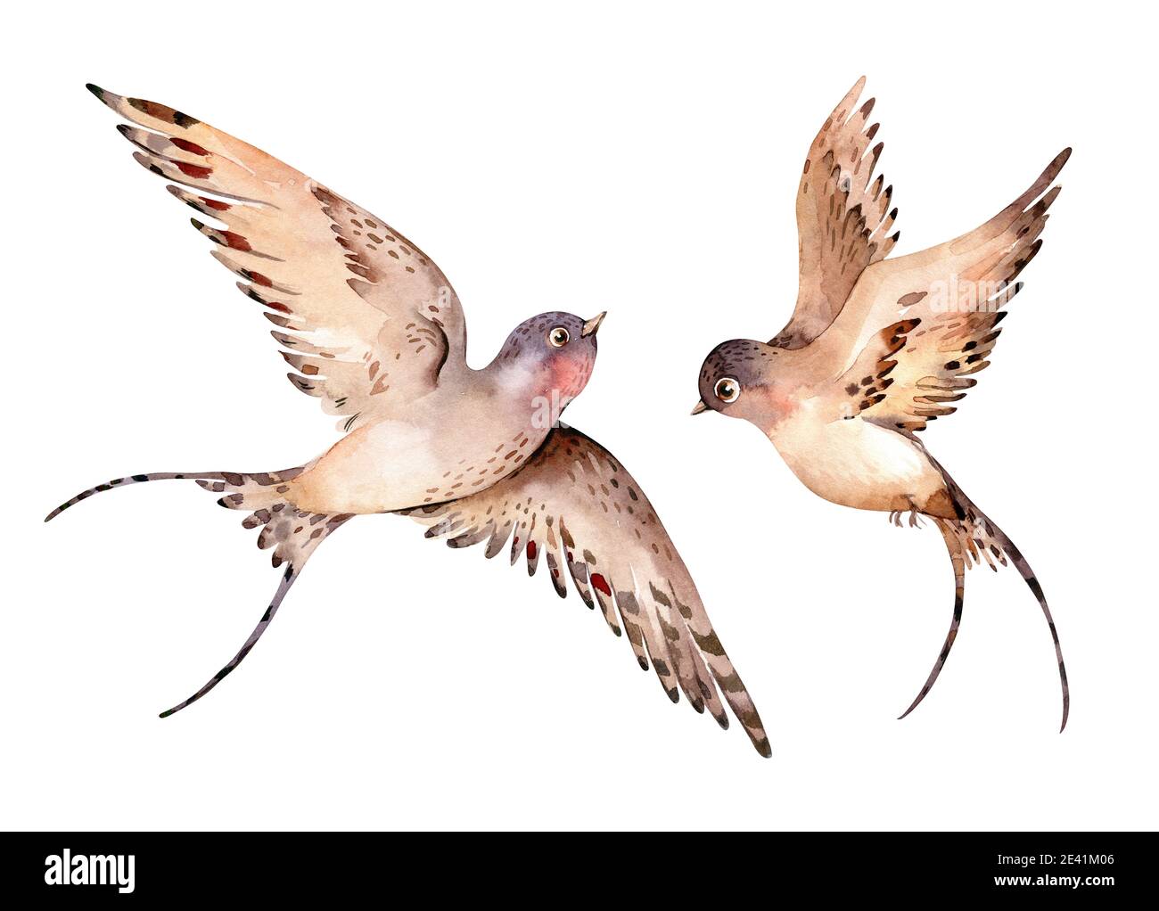 Watercolor spring flying swallows isolated and blossom flowers on white ...