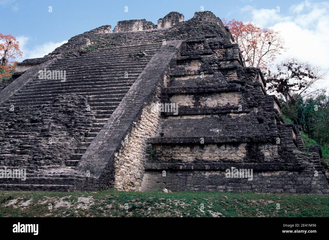 Pyramide de tikal hi-res stock photography and images - Alamy