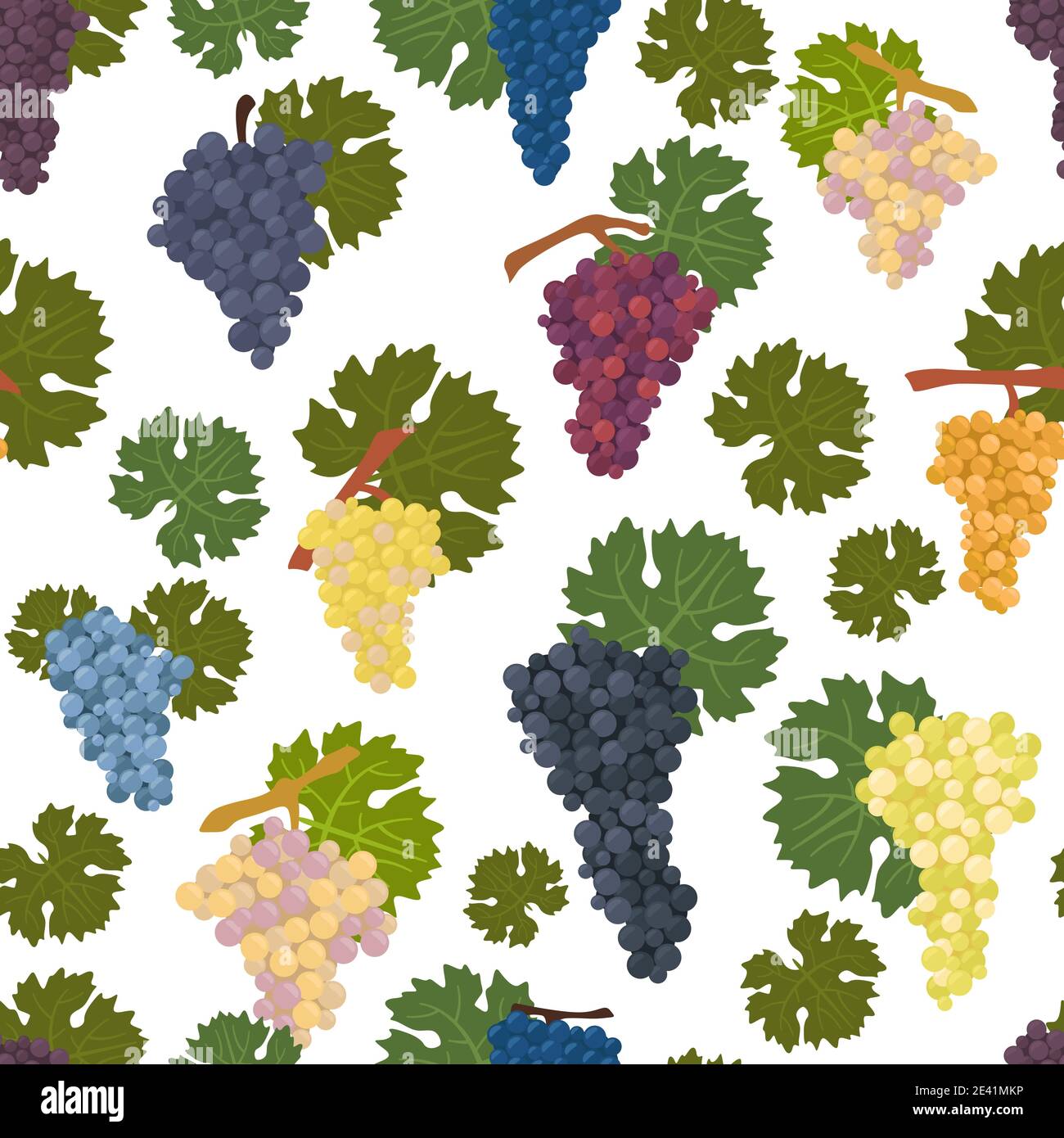 Grapes varieties for wine seamless pattern. Vector illustration Stock ...
