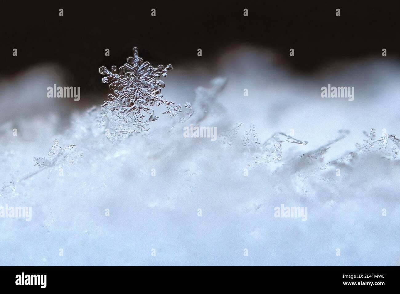 natural snowflakes on snow, photo real snowflakes during a snowfall ...
