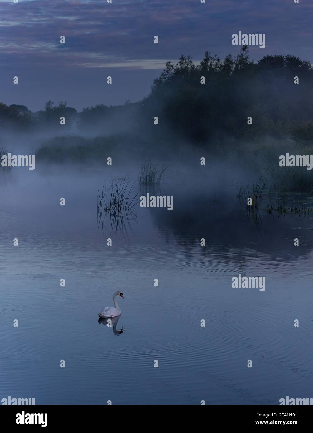 Dawn over swan river hi-res stock photography and images - Alamy