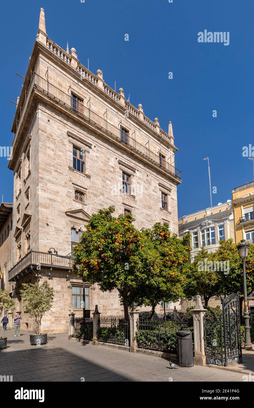 Valencia orange trees hi-res stock photography and images - Alamy