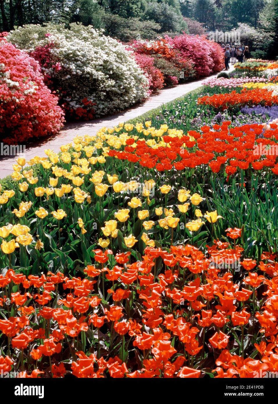 Blumenpark park blumen hi-res stock photography and images - Alamy