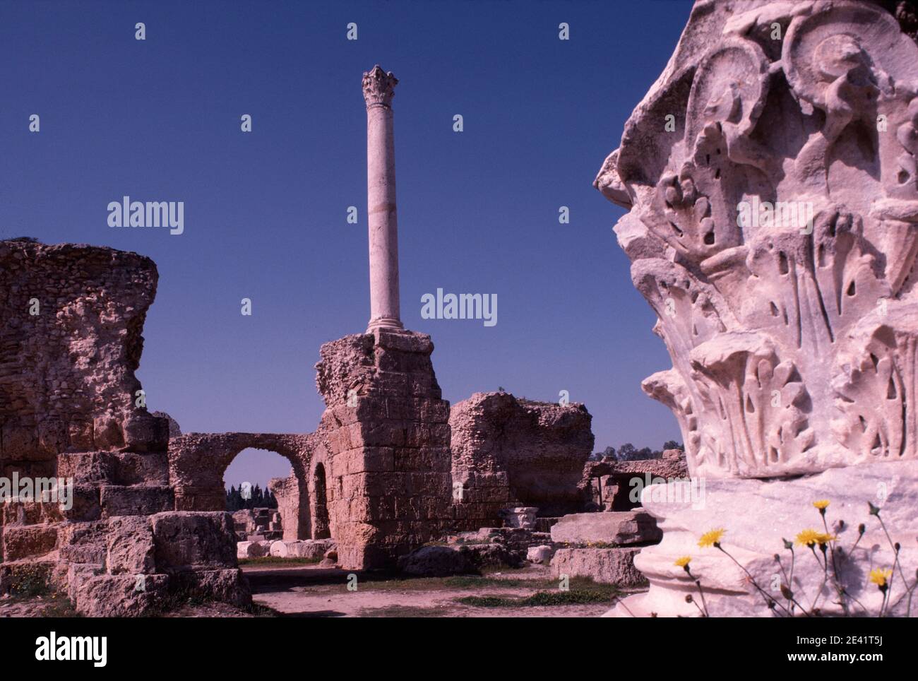 Túnez capital hi-res stock photography and images - Alamy