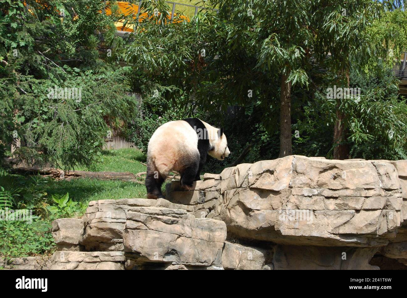 Caged rocks hi-res stock photography and images - Alamy
