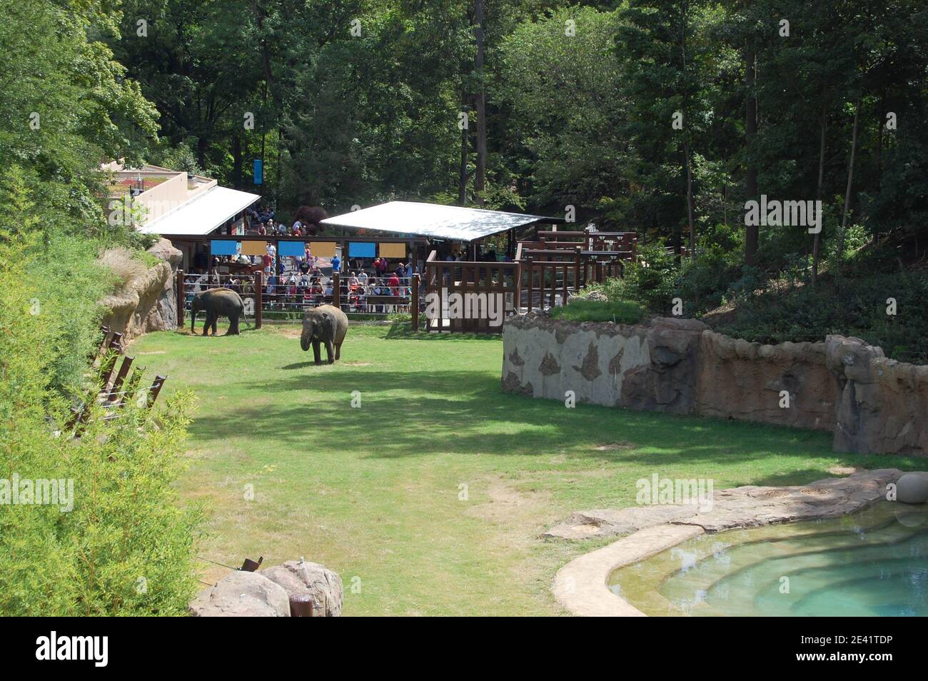 Washington dc zoo elephant hi-res stock photography and images - Alamy